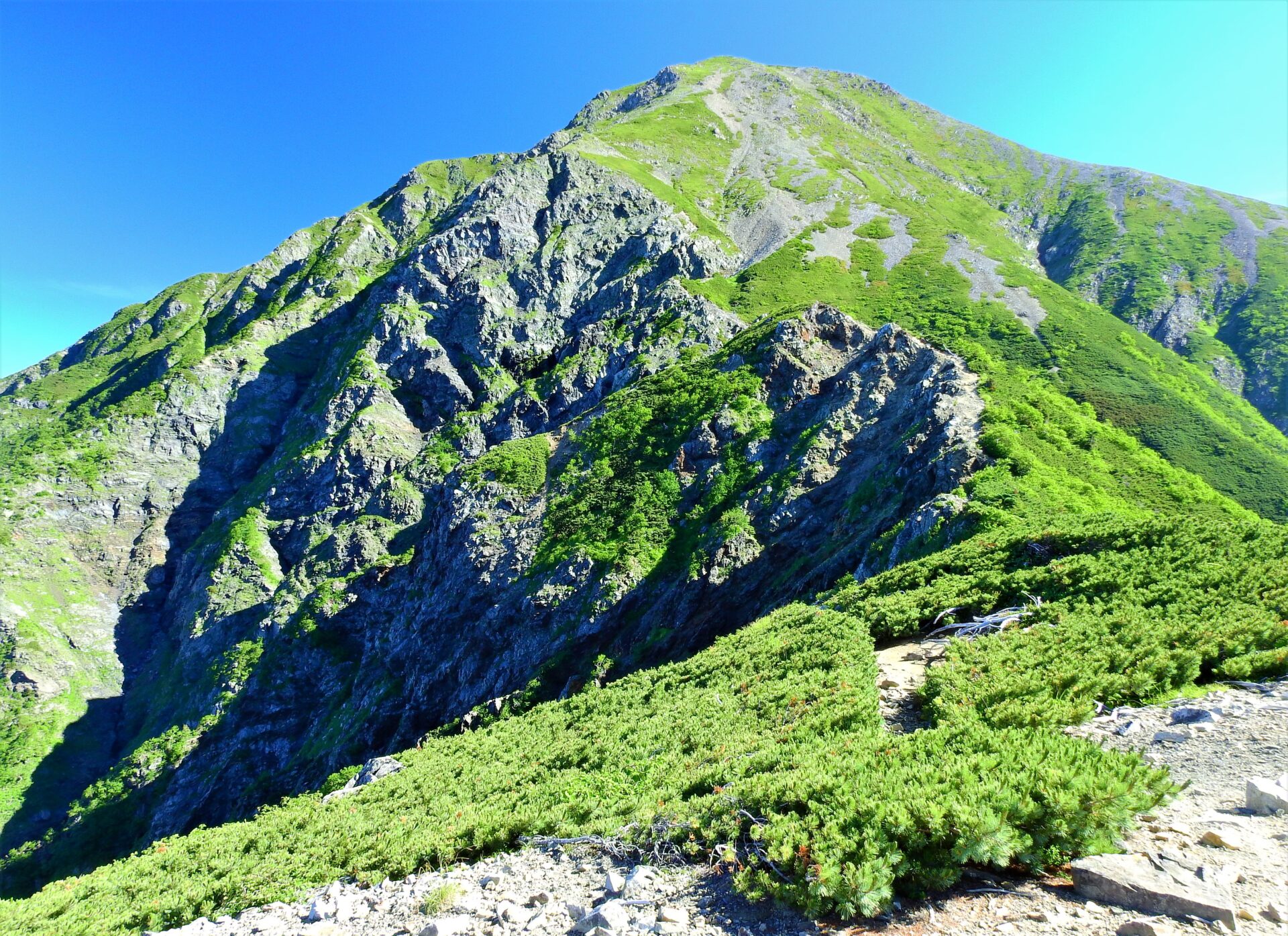 【TJAR】全てが自己対応、そして孤独の世界。日本一過酷な山岳レースとは？ - Yamarii Magazine(あの山に行きたいを叶える)