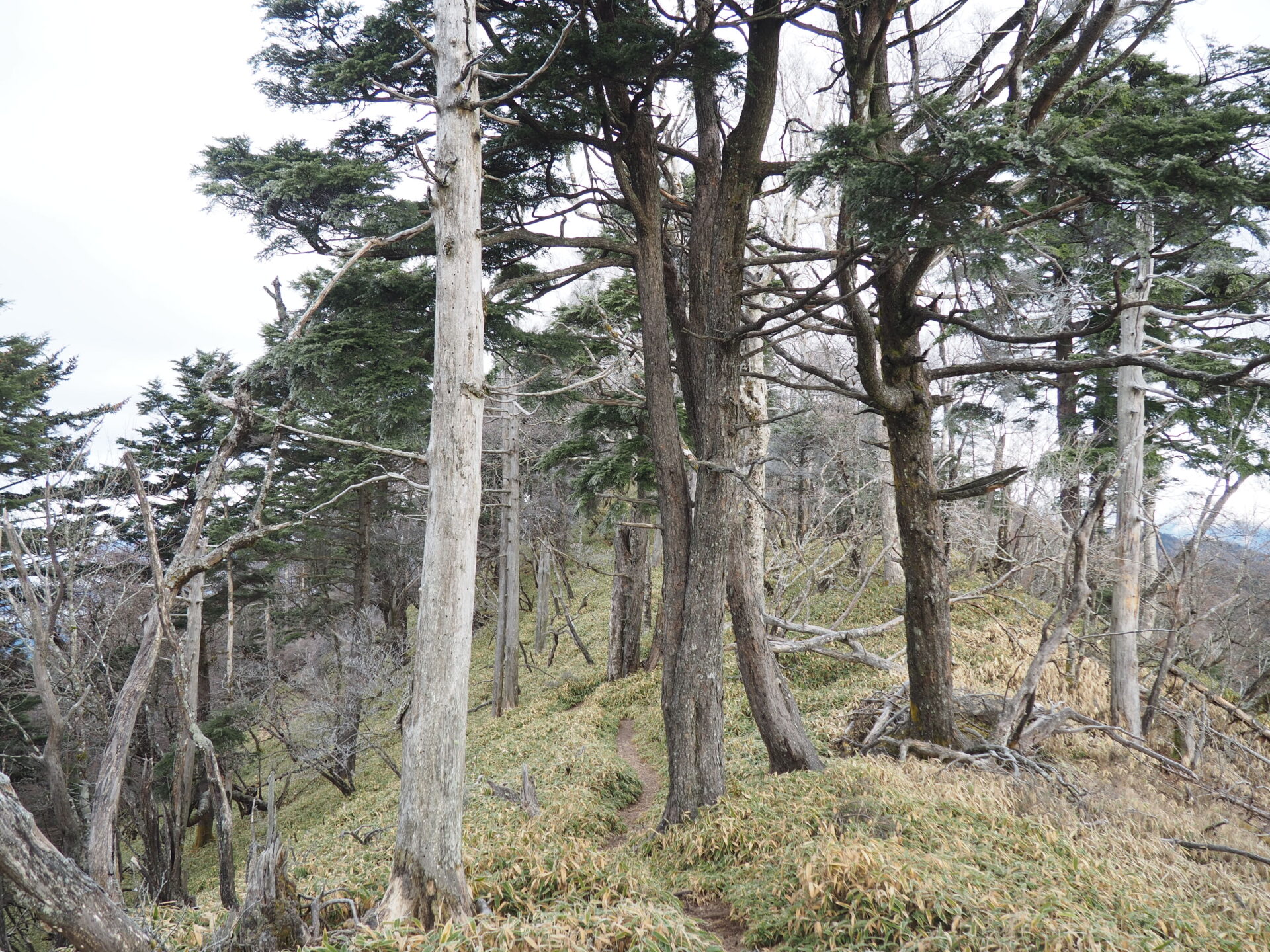 【日帰り登山】日本一長い山：牛奥ノ雁ヶ腹摺山を行く - Yamarii Magazine(あの山に行きたいを叶える)