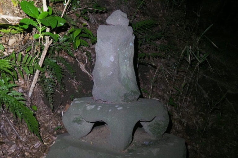 【日帰り登山】秦野駅から歩いて目指す大山 - Yamarii Magazine(あの山に行きたいを叶える)