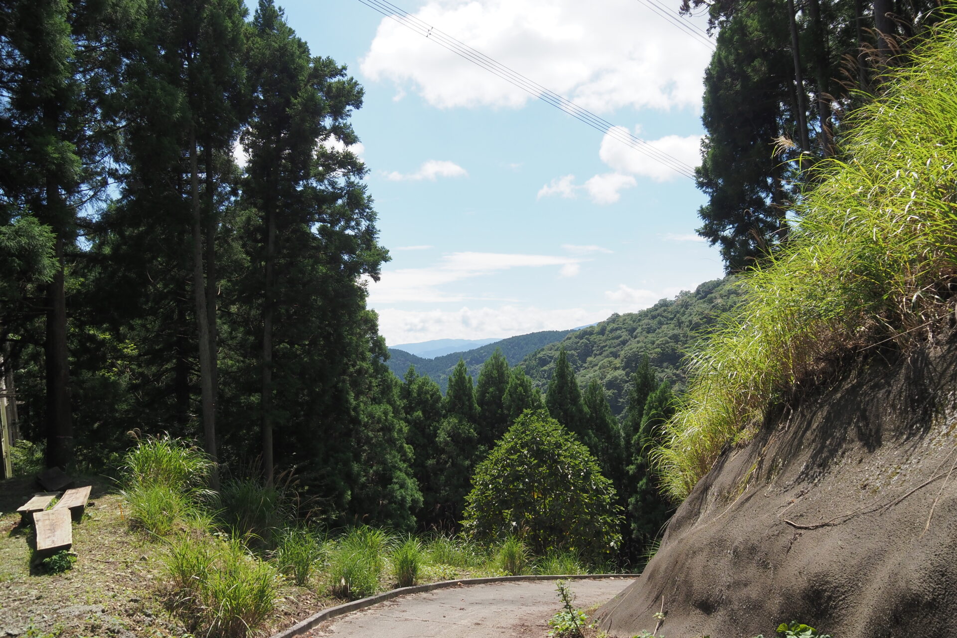 【日帰り登山】シダンゴ山：西丹沢の山を登る - Yamarii Magazine(あの山に行きたいを叶える)