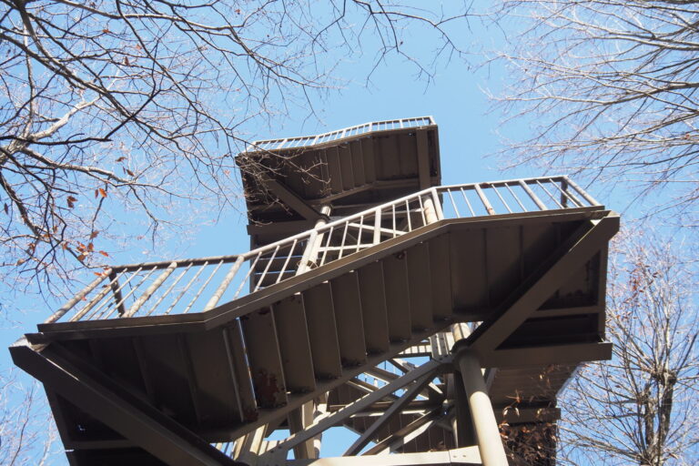 【日帰り登山】丹沢：仏果山と高取山を縦走登山 - Yamarii Magazine(あの山に行きたいを叶える)